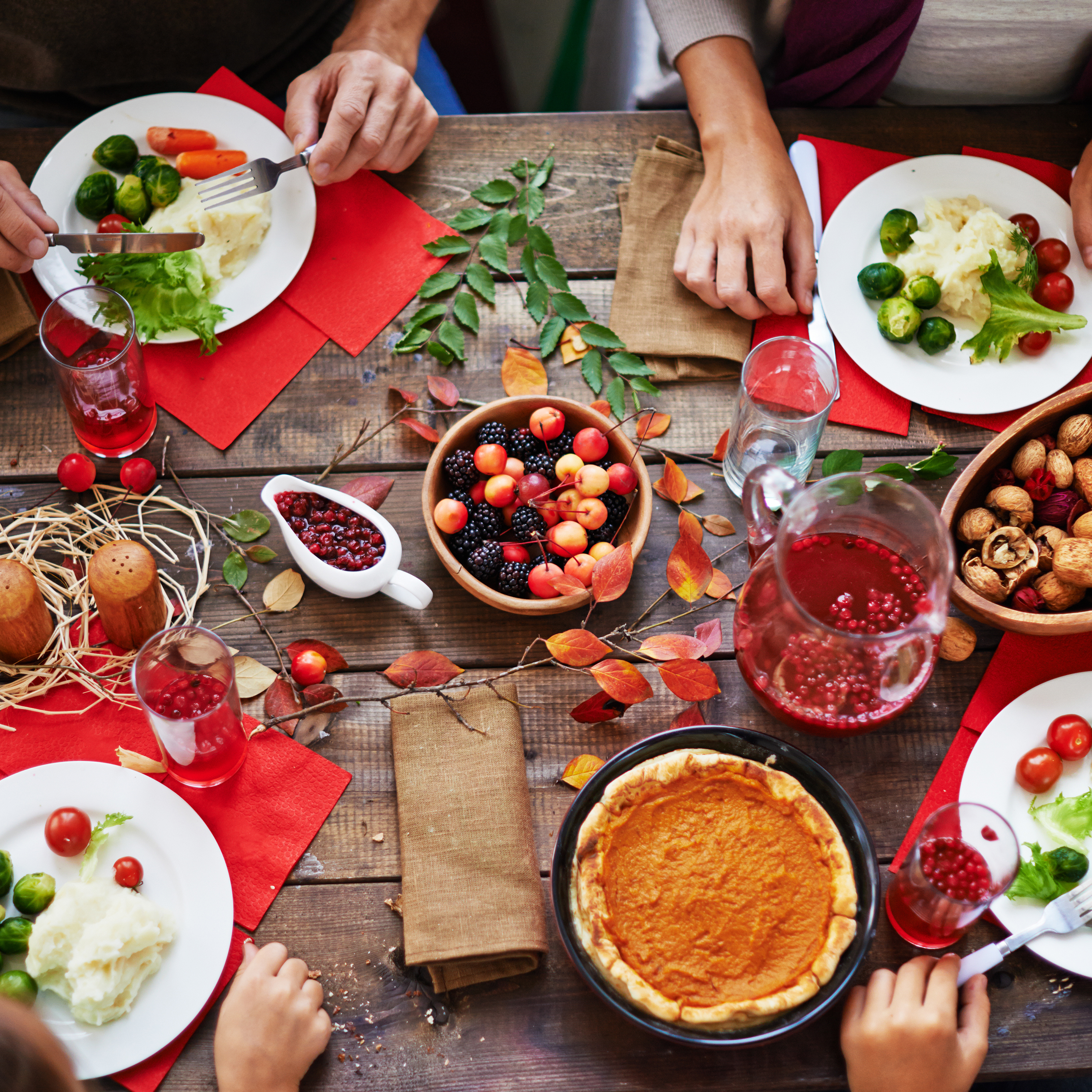 Thanksgiving for Special Diets: The Ultimate Guide to Coexisting ...