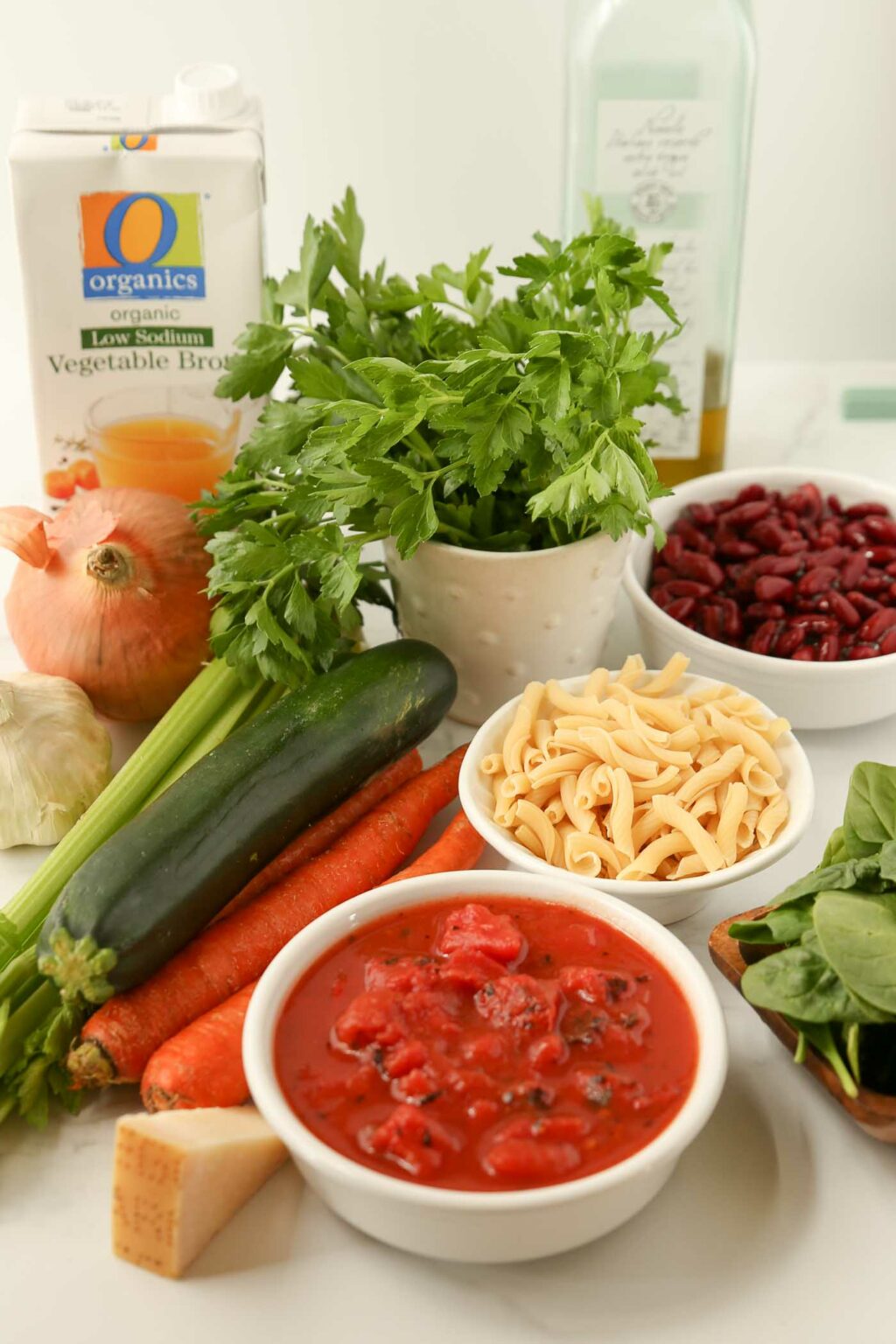 Vegetarian Minestrone Soup