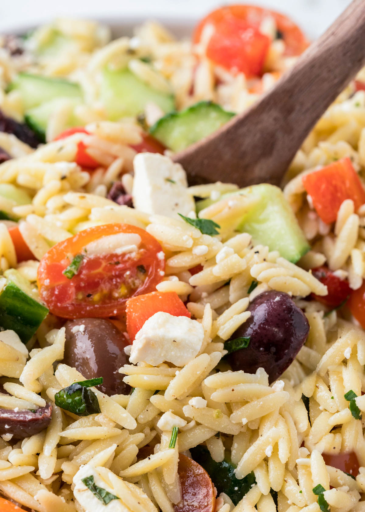 Greek Orzo Pasta Salad Recipe