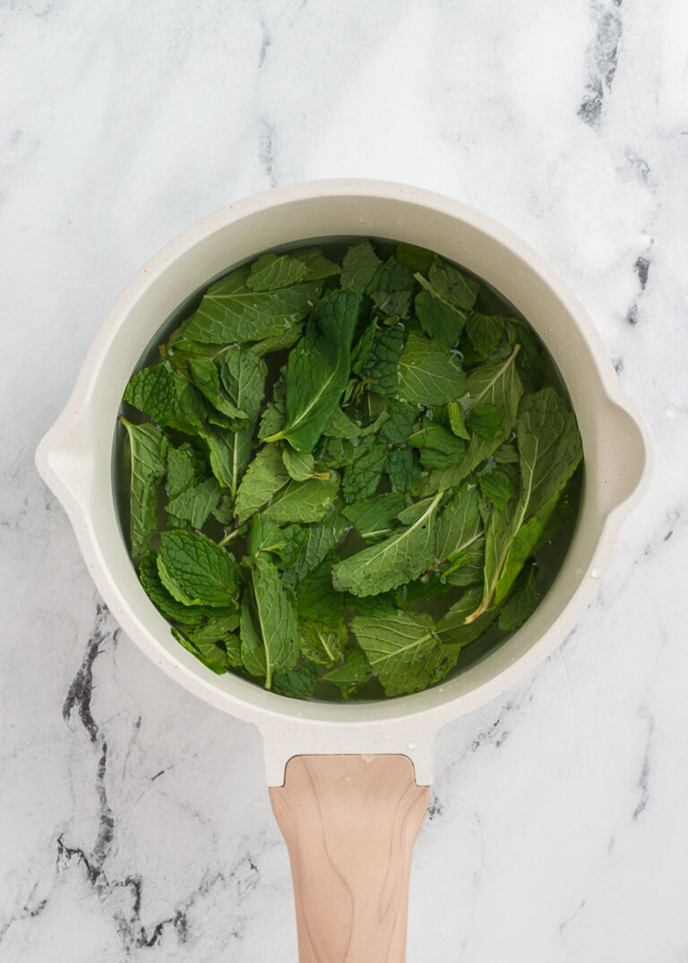 Fresh Mint Tea Recipe (Hot or Iced!)