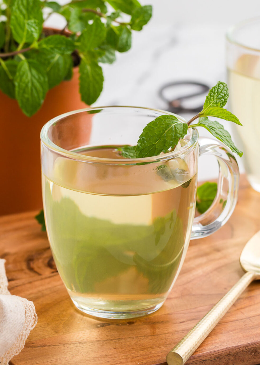 Fresh Mint Tea Recipe (Hot or Iced!)