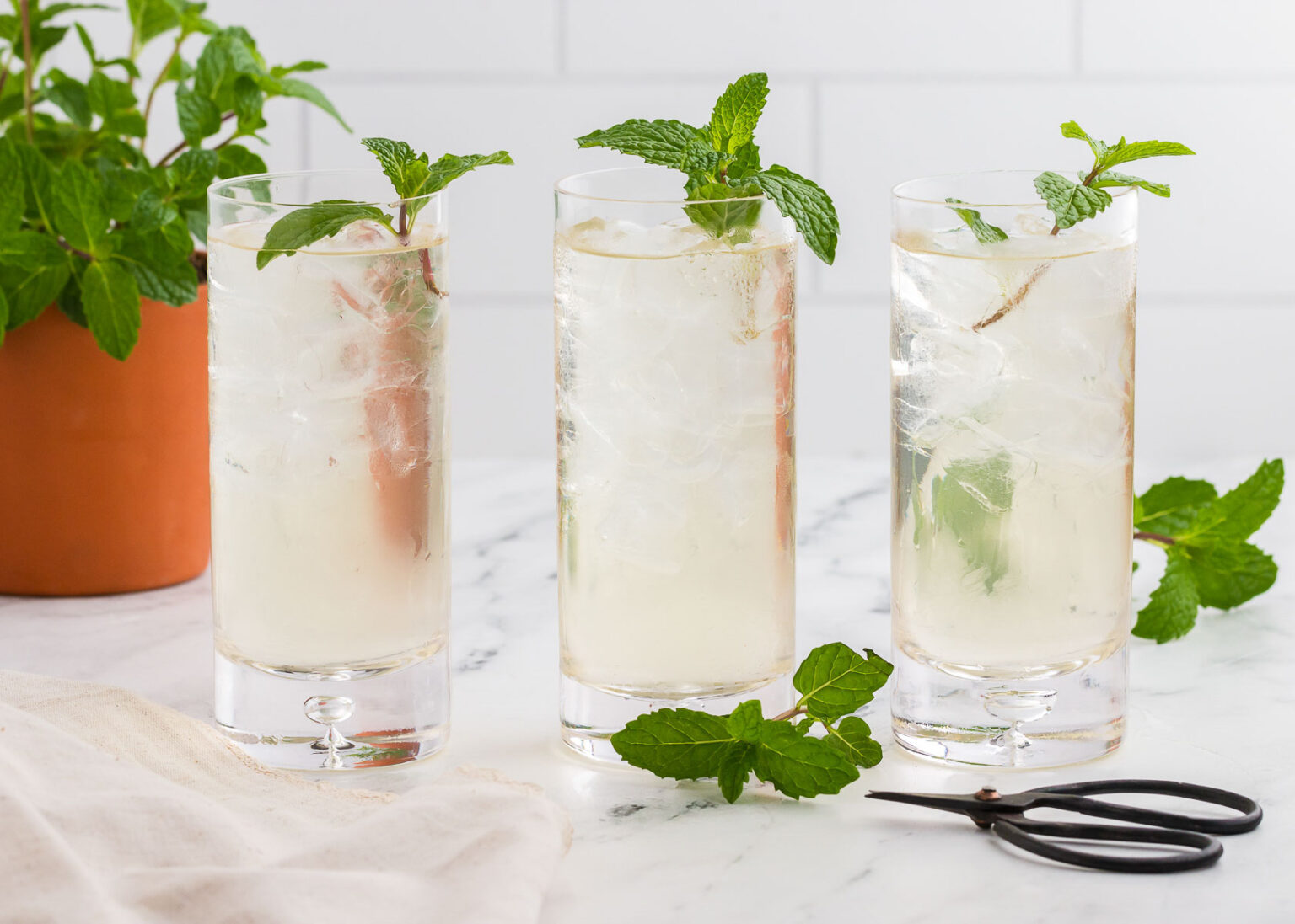 Fresh Mint Tea Recipe (Hot or Iced!)
