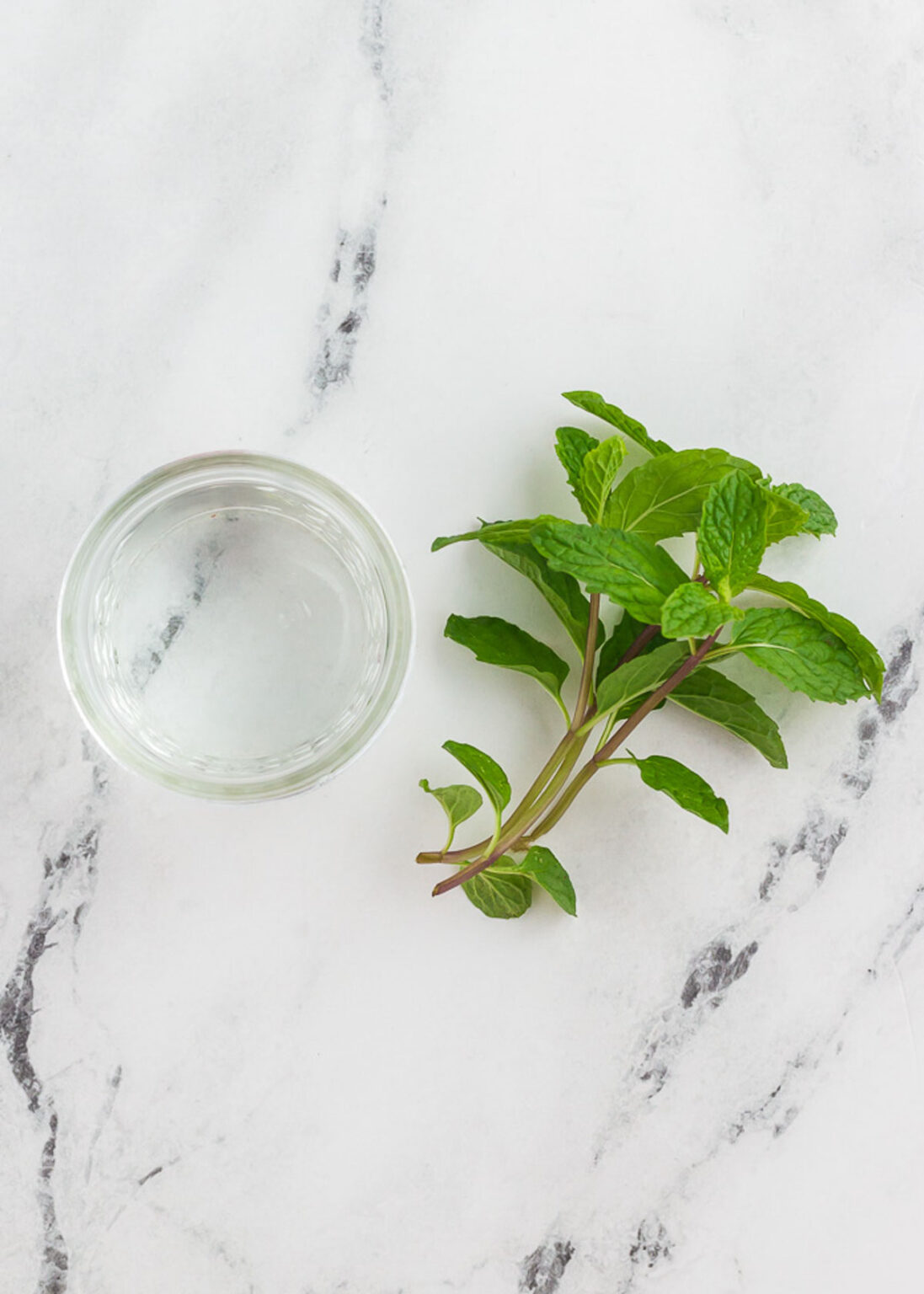 Fresh Mint Tea Recipe (Hot or Iced!)