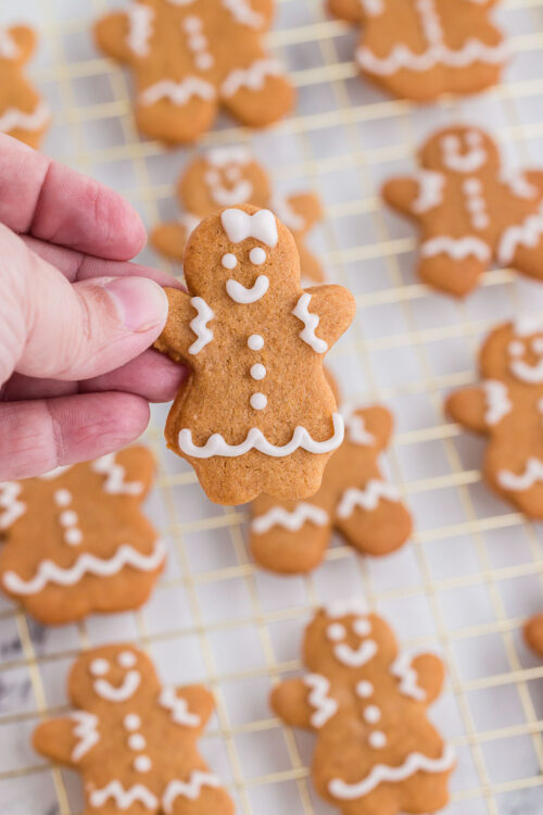 Mini Gingerbread Men (& Women!) Cookies Recipe