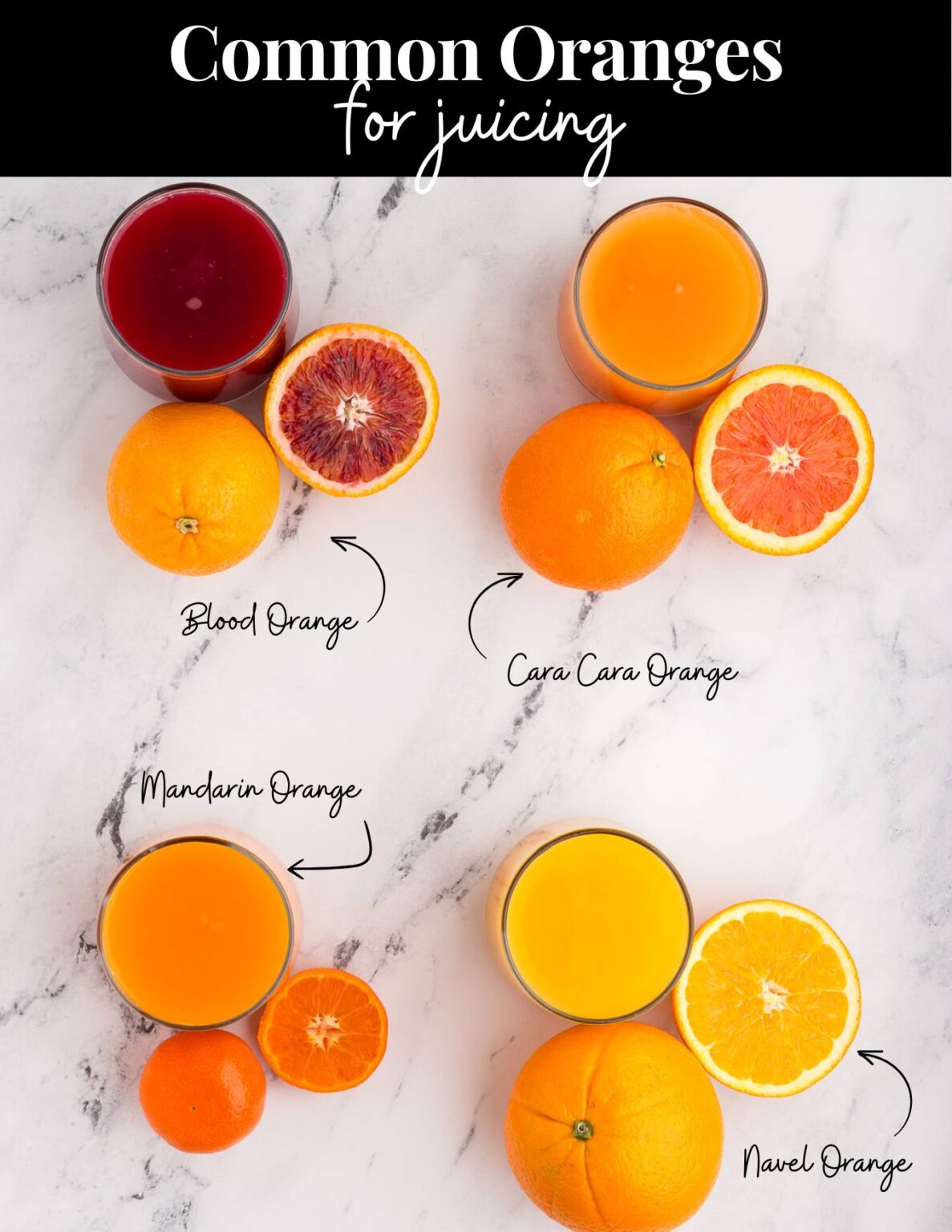 Fresh-Squeezed Orange Juice (+ the Best Oranges for Juicing)