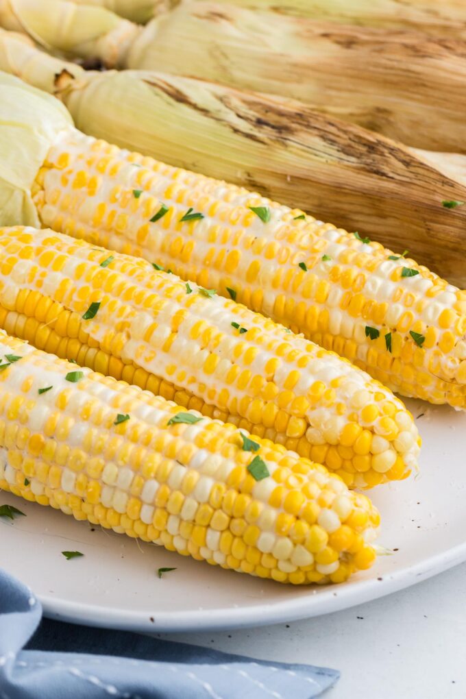 Grilled Corn on the Cob in the Husk